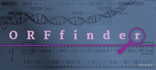 개방형 해독틀 [ open reading frame ] : 네이버 블로그